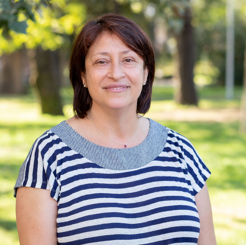 Artichoke and carrot waste as prebiotic ingredients | News | IRBLleida