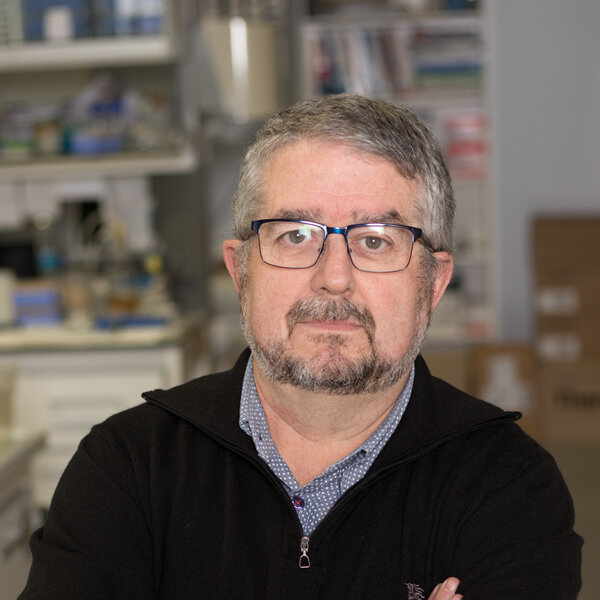 Albert Sorribas Tello | Directorio de personas | Investigación | IRBLleida